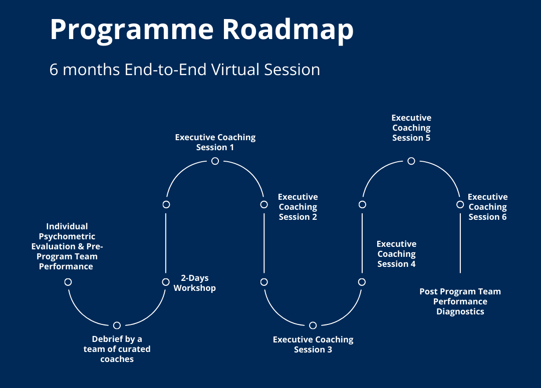 “Me vs We” A Case Study on Organization Performance - Emerge Performance